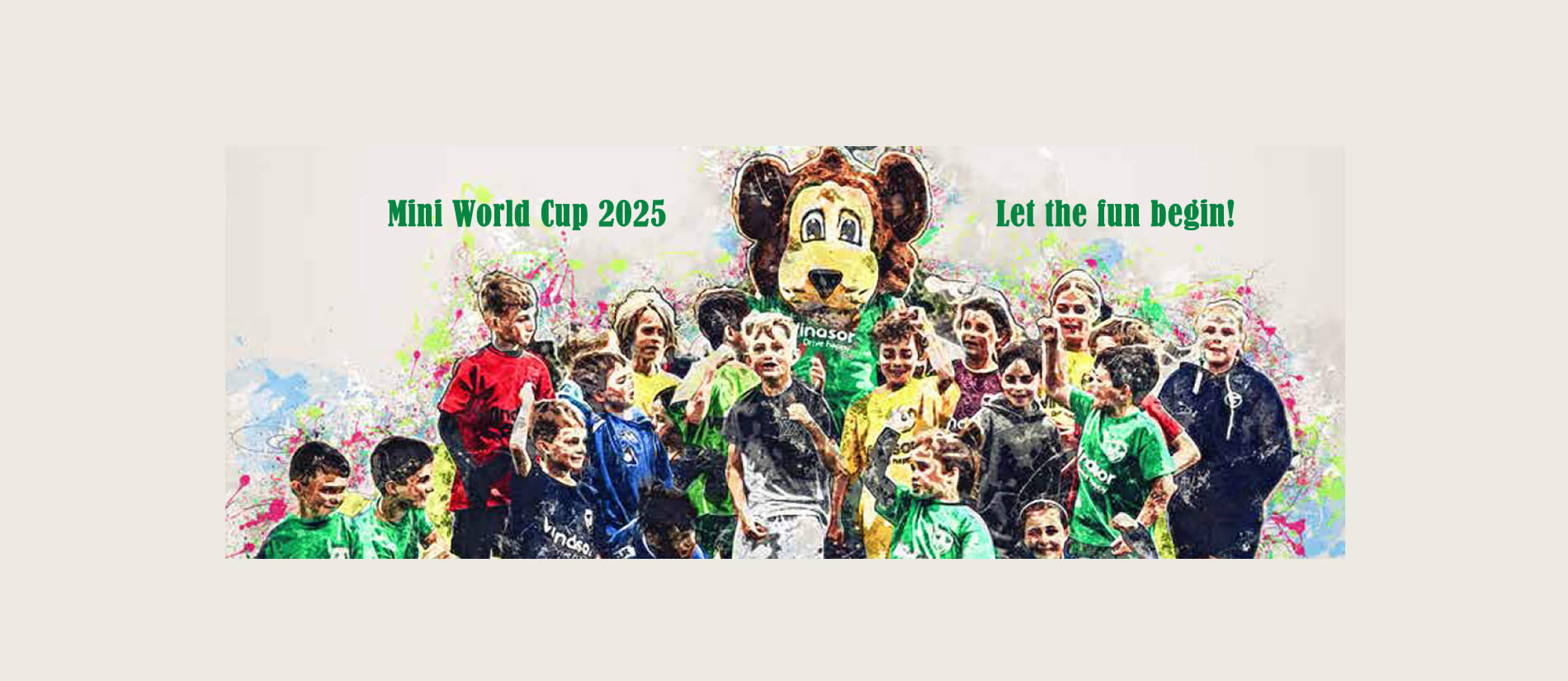 The home of Cabinteely FC | Dublin